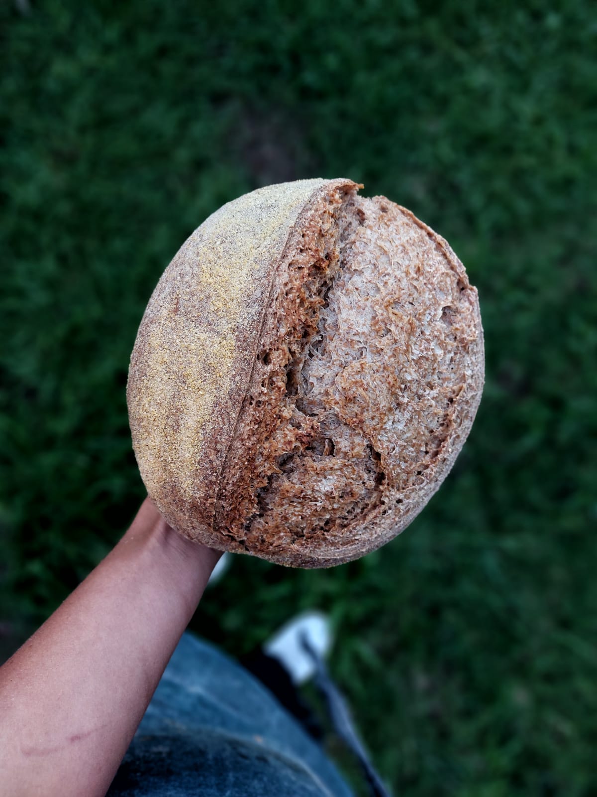 Masa Madre: En Busca del Verdadero Pan - FoodSurfing